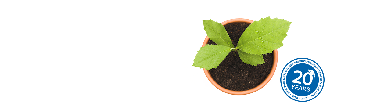 NY's 529 College Savings Program | NY 529 Direct Plan